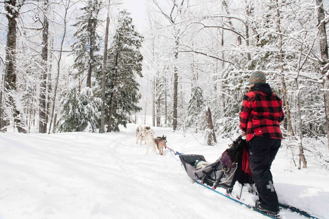 Mushing Through the Snow - The Maine Mag