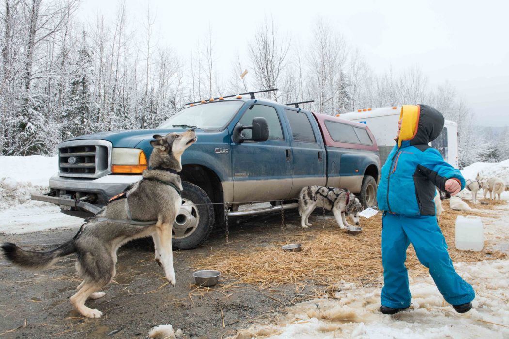 Mushing Through the Snow - The Maine Mag