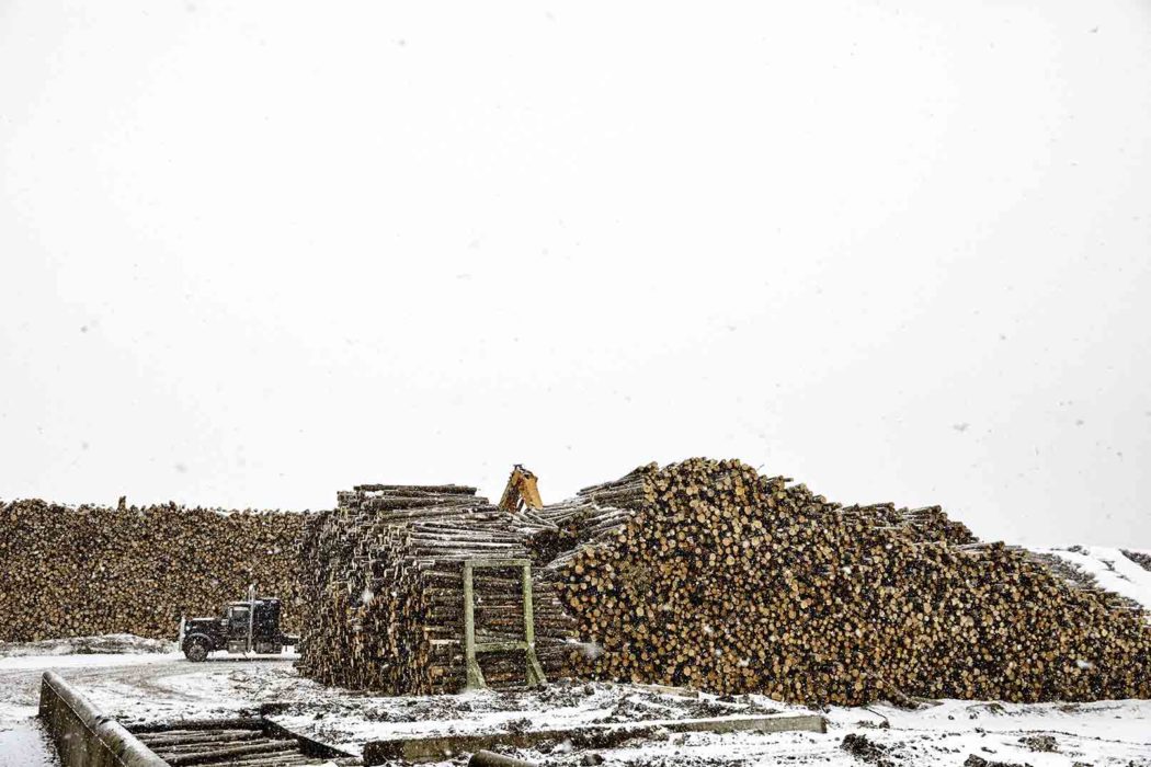 Wood Workers - The Maine Mag