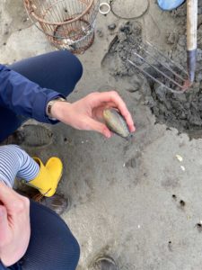 How to Go Clamming - The Maine Mag