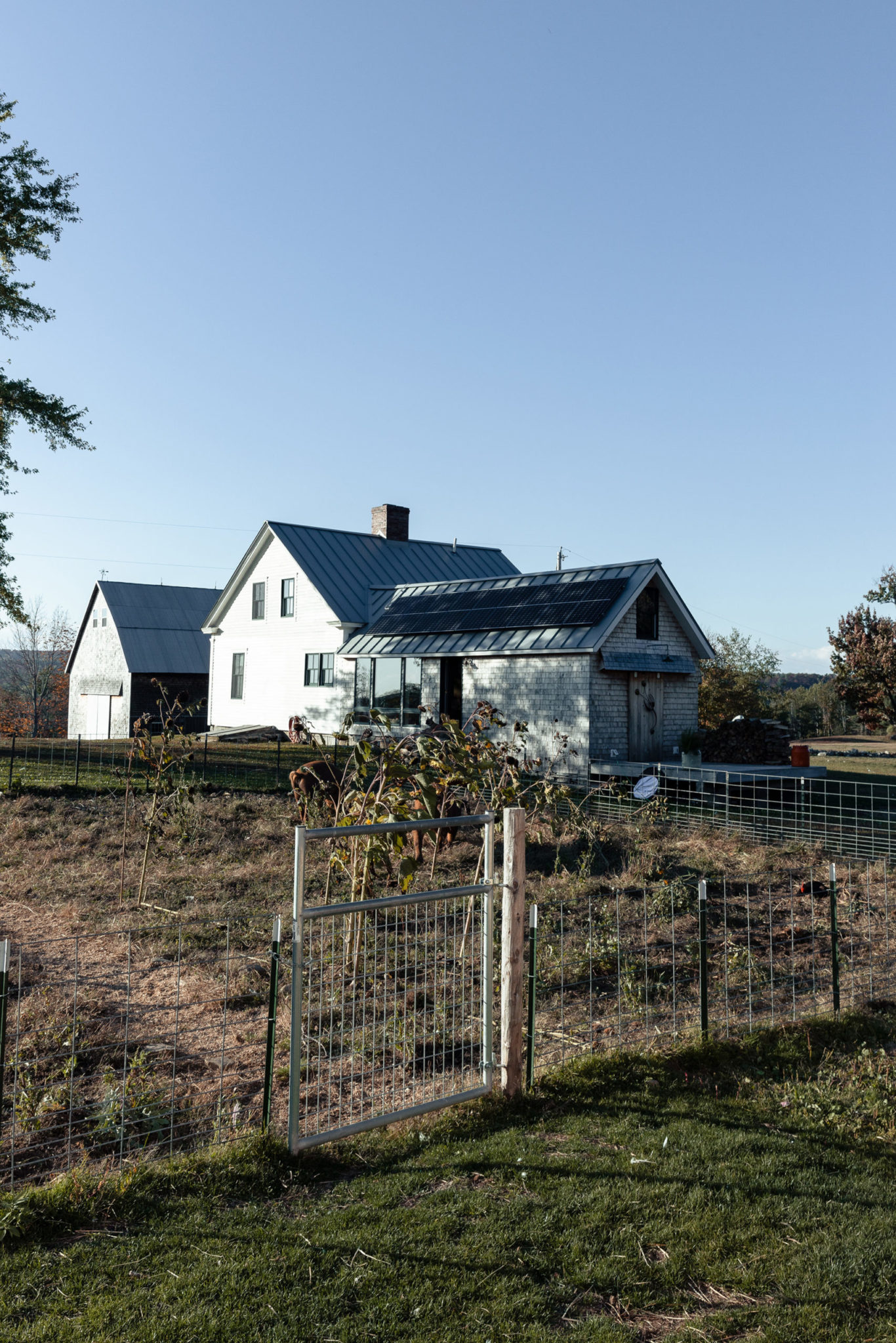 A Homesteading Couple Revives a 200-Year-Old Maine Farm - The Maine Mag