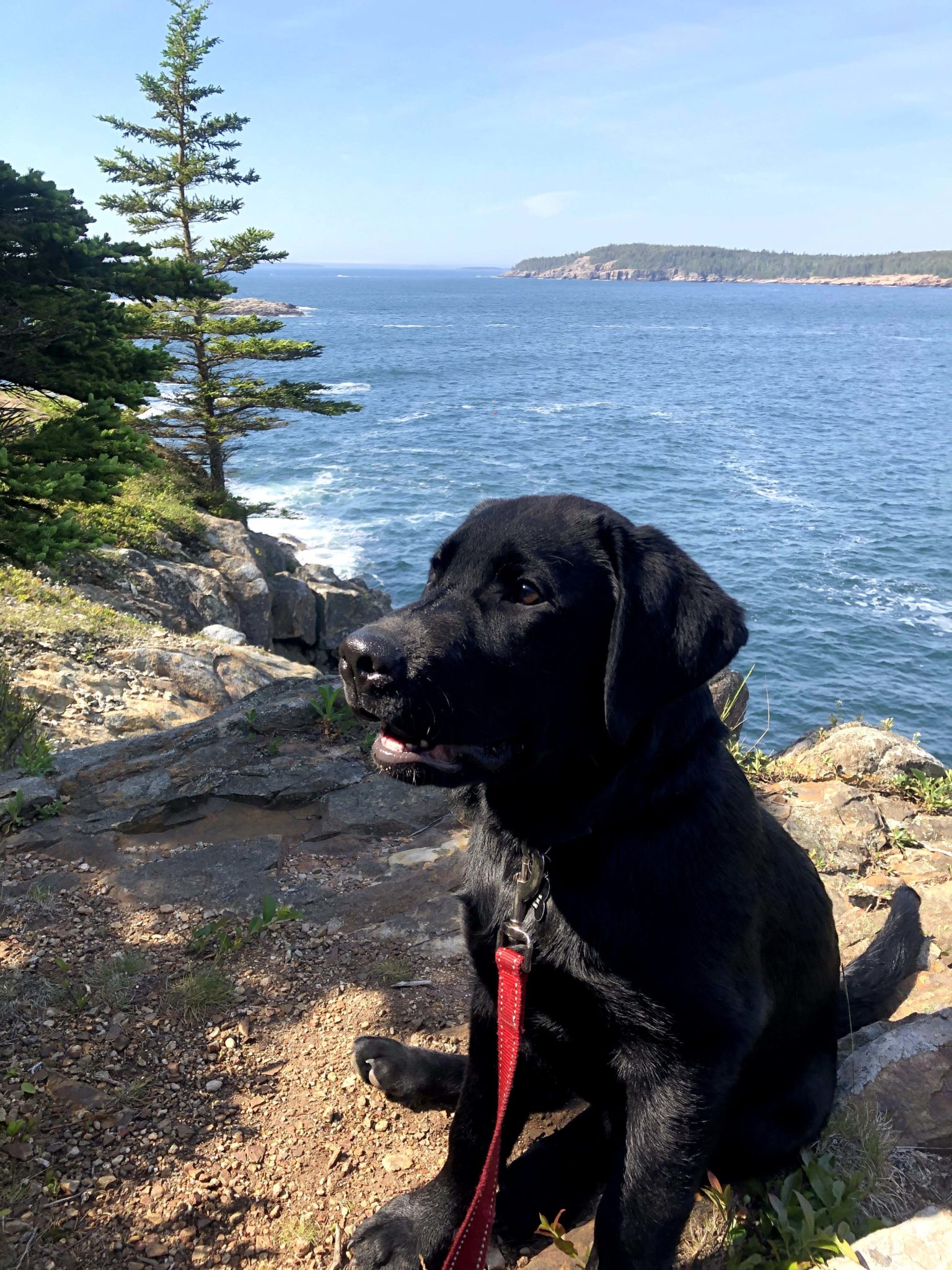 Mount Desert Island in 48 Hours - The Maine Mag
