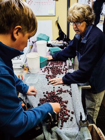 The Families Preserving Maine’s Cranberry Harvesting Traditions - The ...