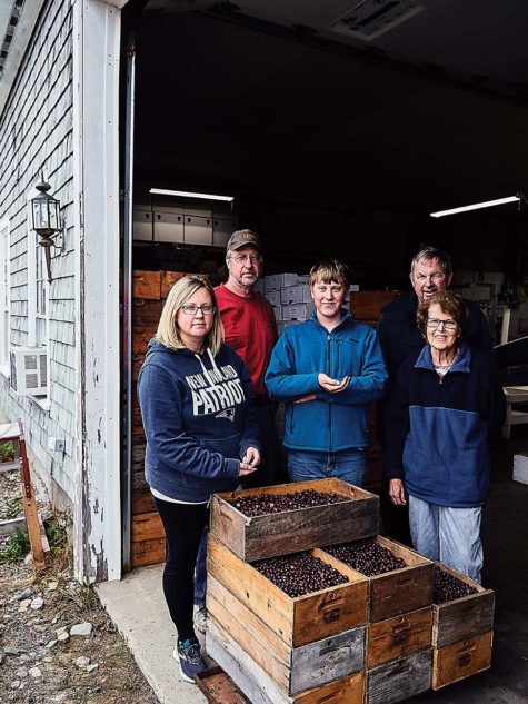The Families Preserving Maine’s Cranberry Harvesting Traditions - The ...