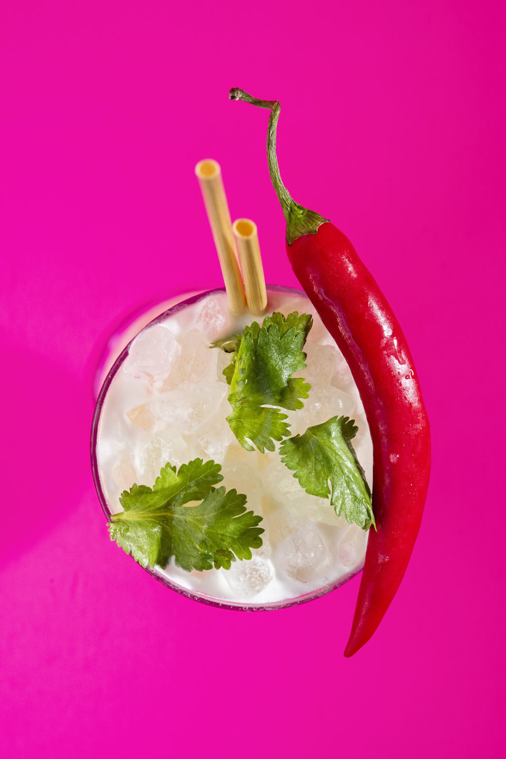 Crispy Gài Dishes Out Thai Fried Chicken and Tropical Vibes - The Maine Mag