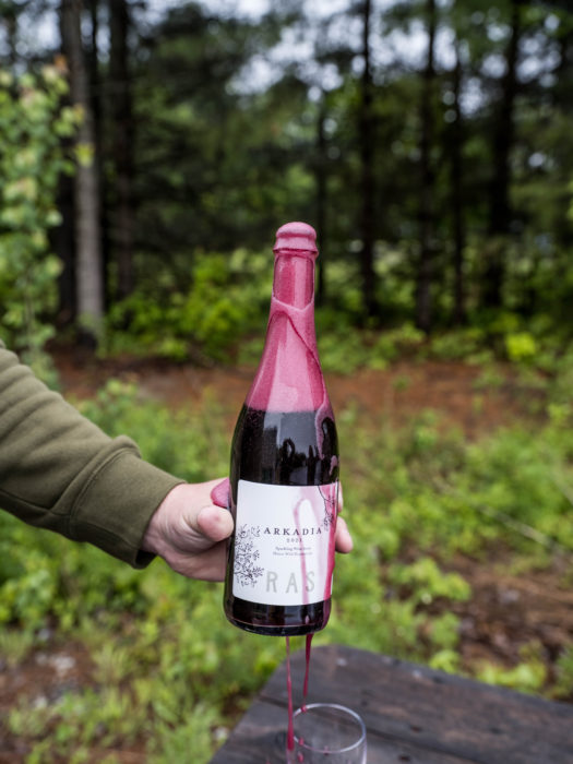 Wild Blueberry Wine is Becoming Maine’s Hot New Commodity - The Maine Mag
