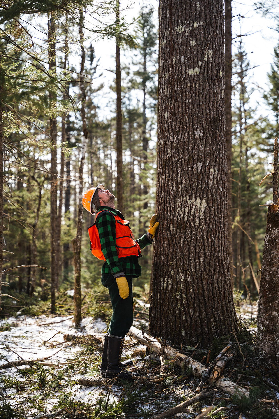 Bridging Community and Conservation in the Acadian Forest - The Maine Mag