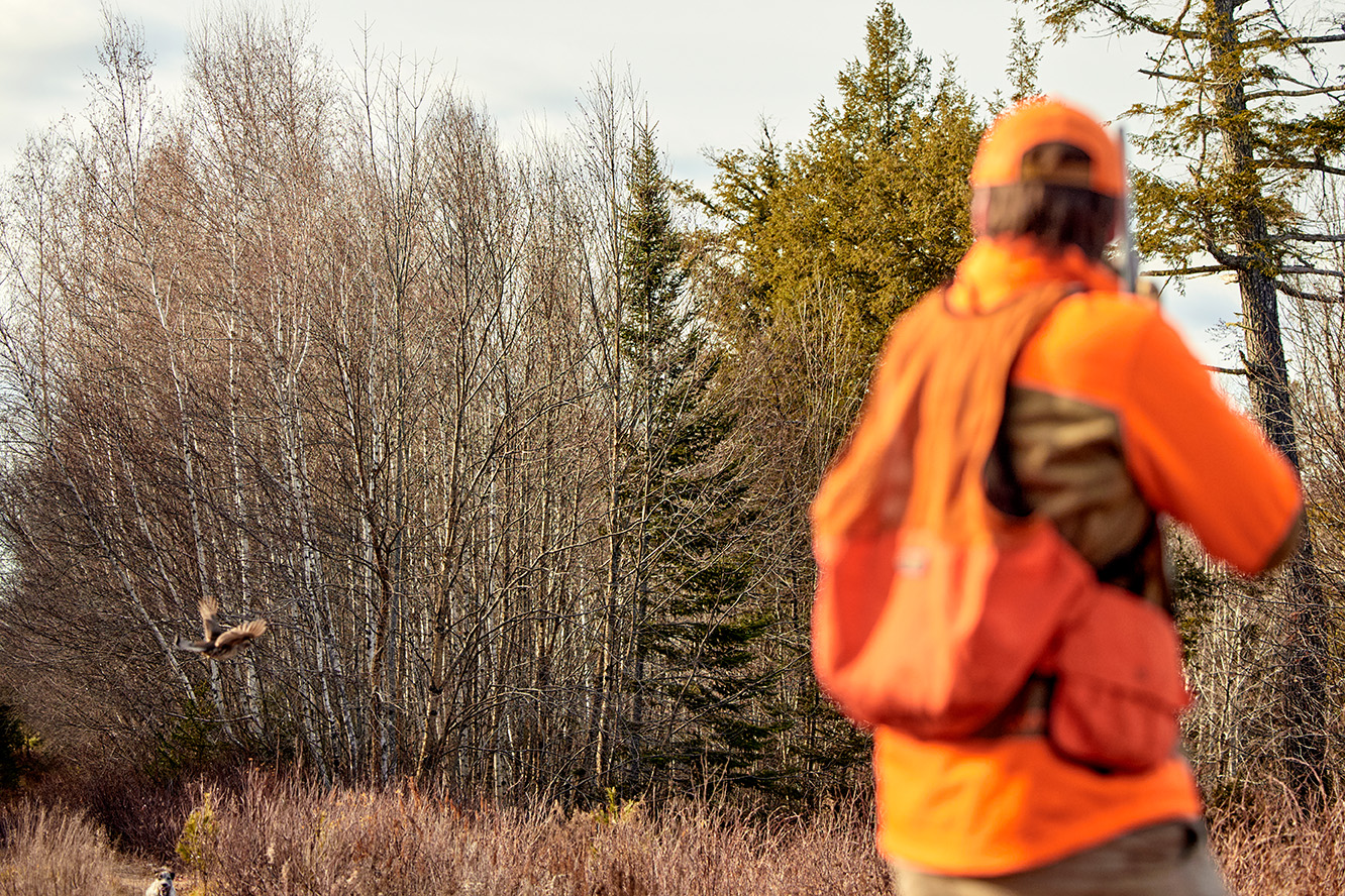 On the Prowl for the Elusive Ruffed Grouse - The Maine Mag