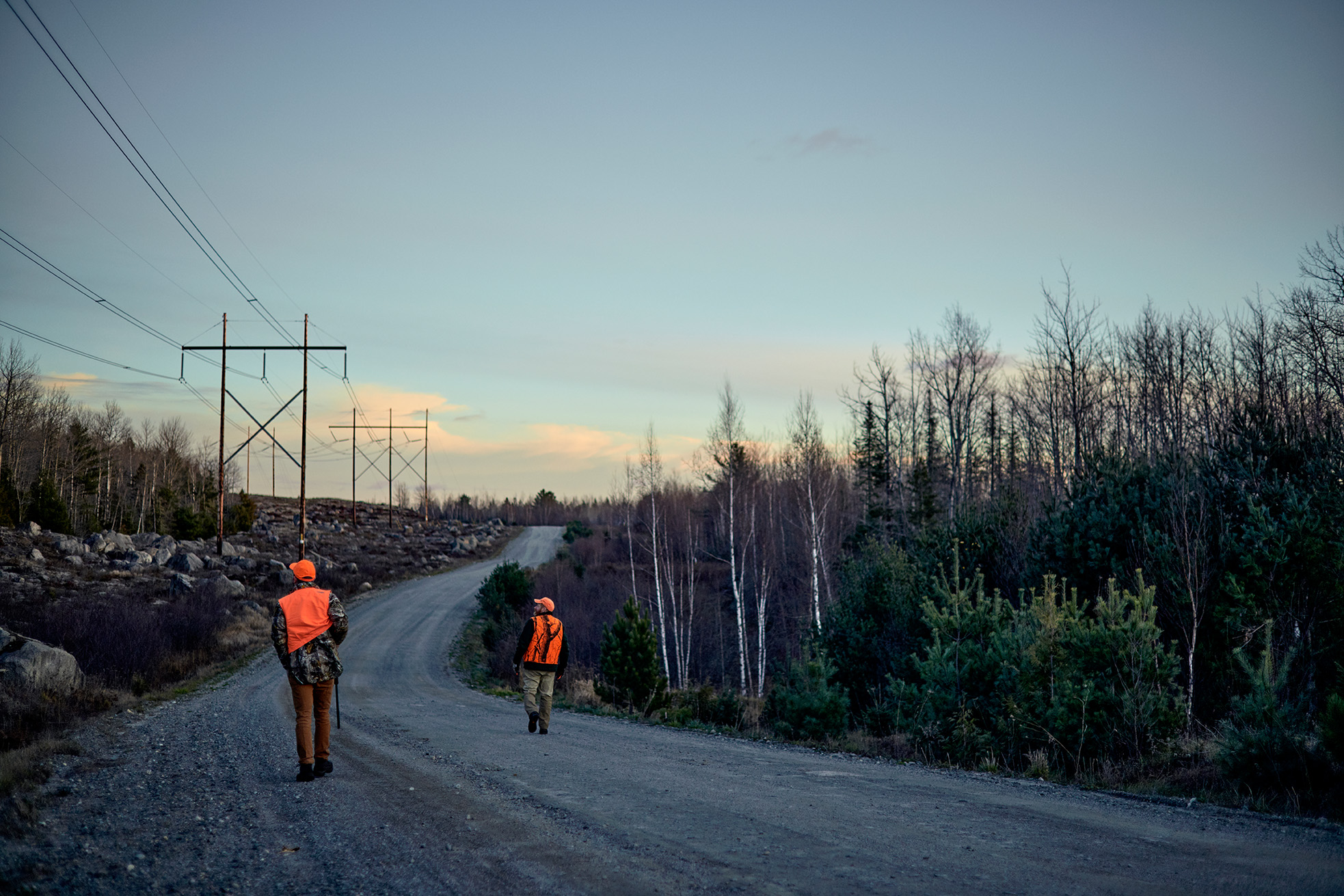 On the Prowl for the Elusive Ruffed Grouse - The Maine Mag