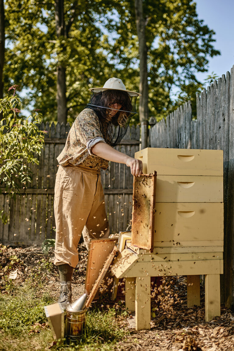 Wisdom from the Backyard Beekeepers - The Maine Mag