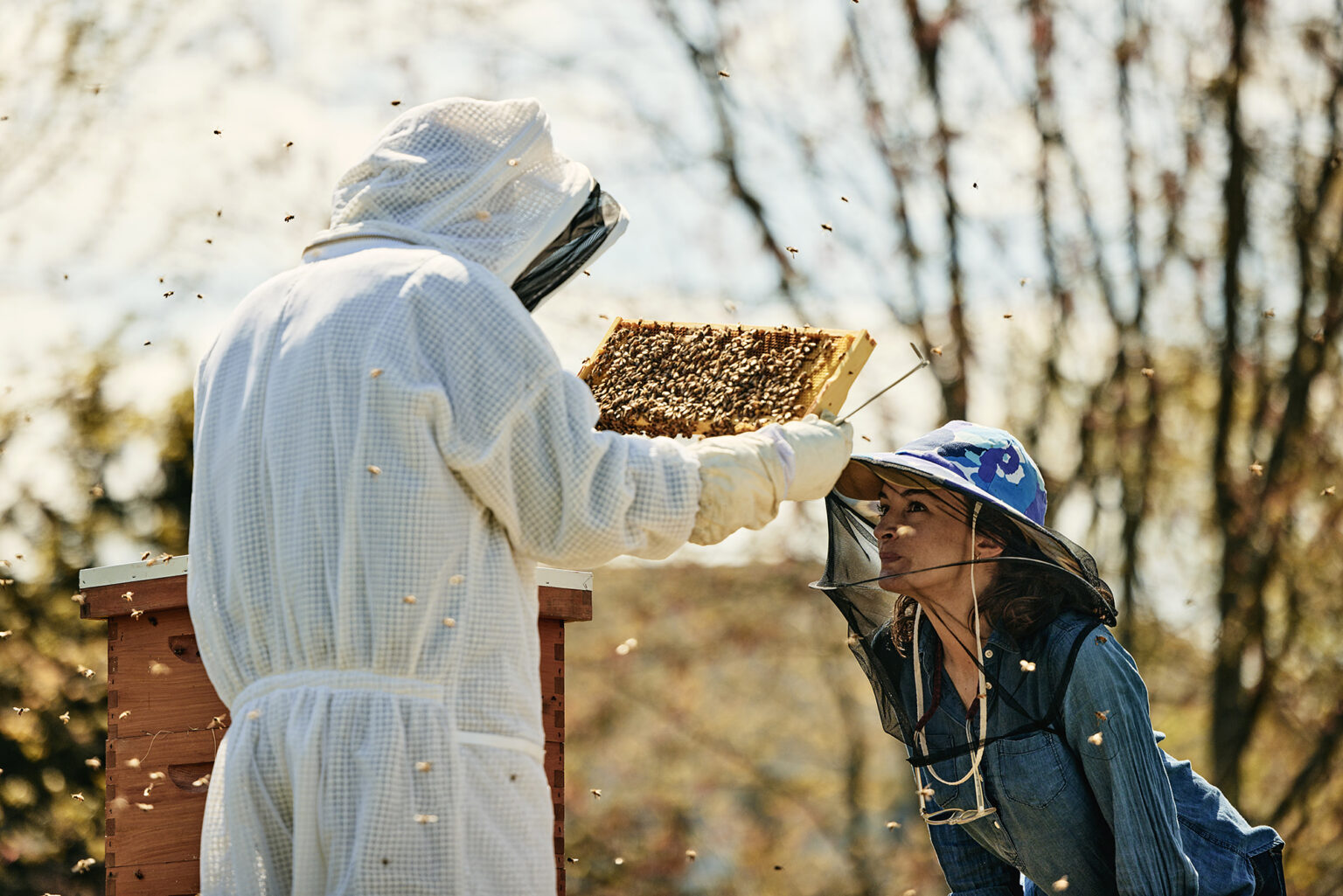 Wisdom from the Backyard Beekeepers - The Maine Mag