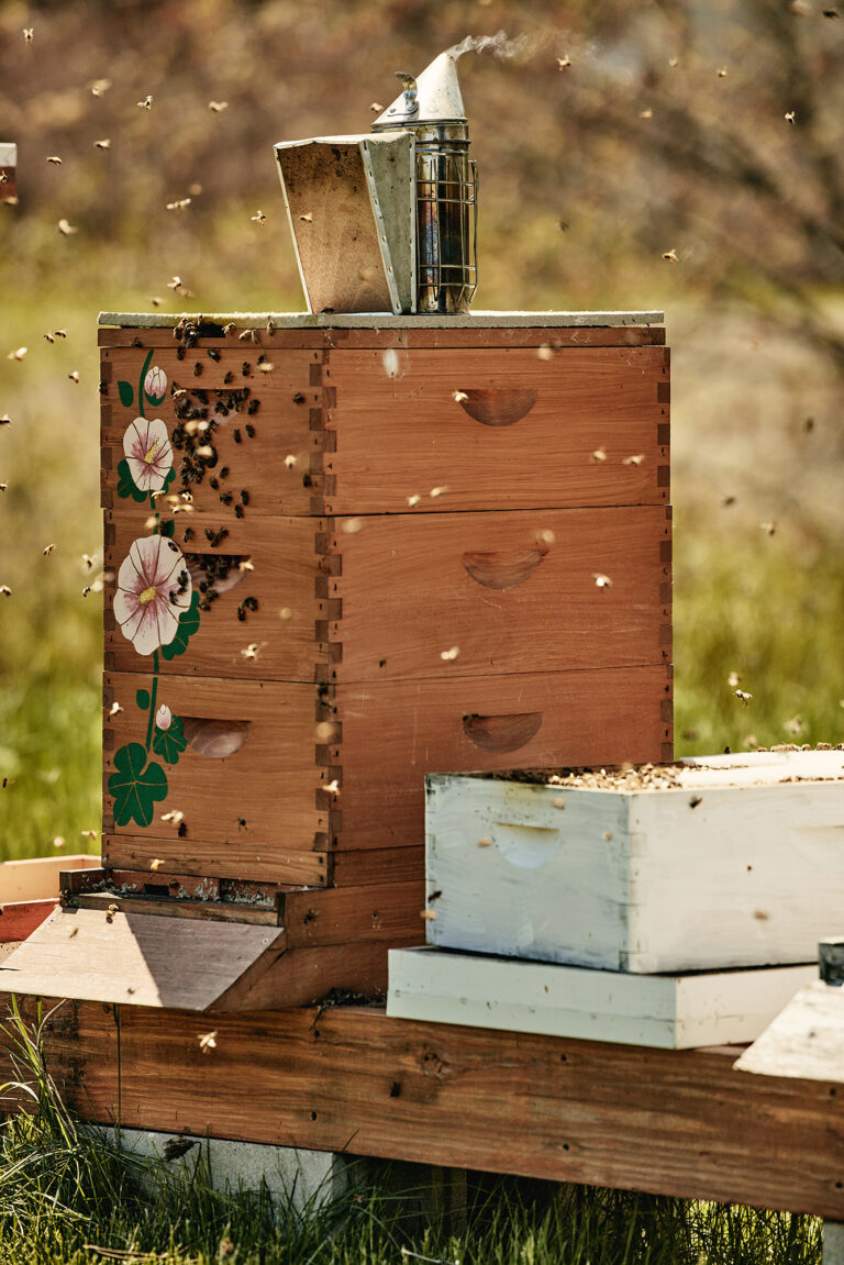 Wisdom from the Backyard Beekeepers - The Maine Mag