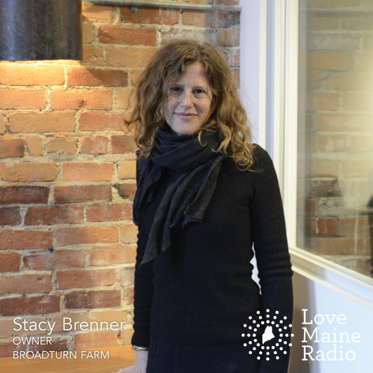 Stacy Brenner - Dr. Lisa Belisle